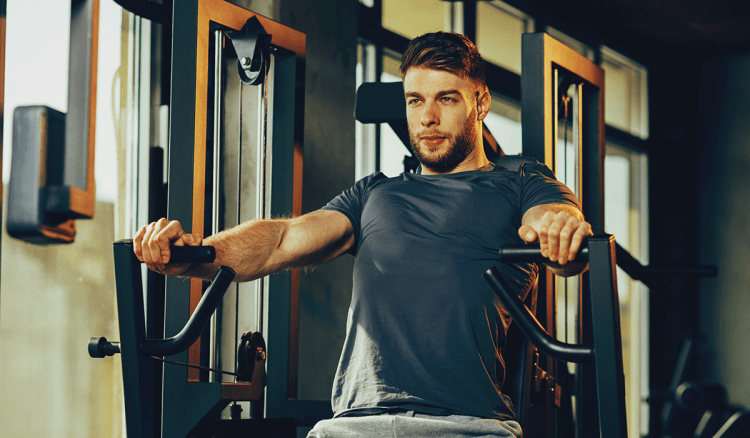What muscles are trained with the chest press?