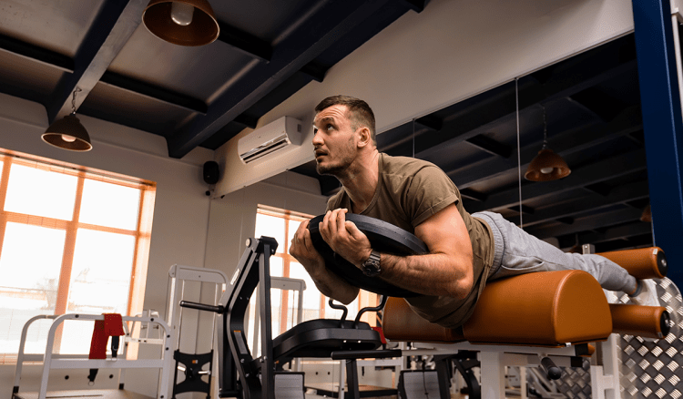 In search of the best back trainer - models compared