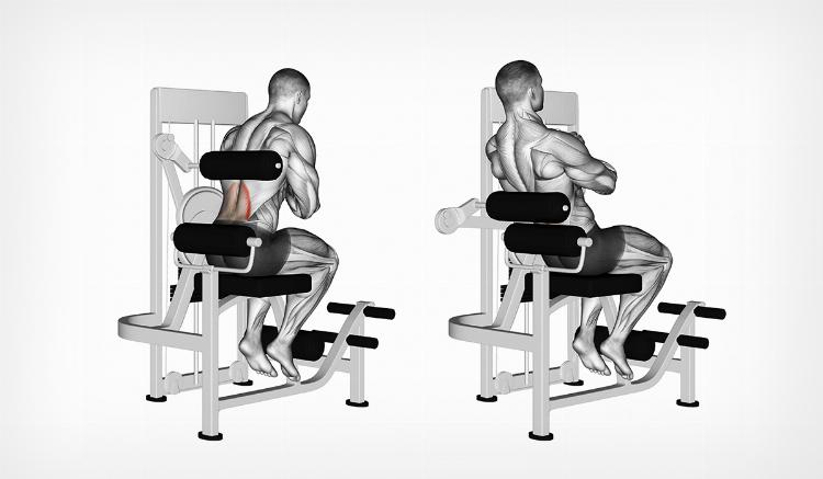 Training tips for back extension – How to use this strength training ...